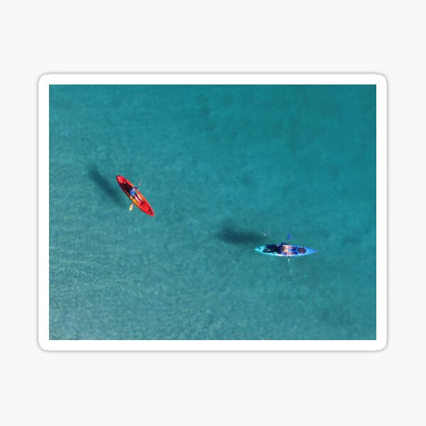 "floating" Sticker by susansegal57 | Redbubble