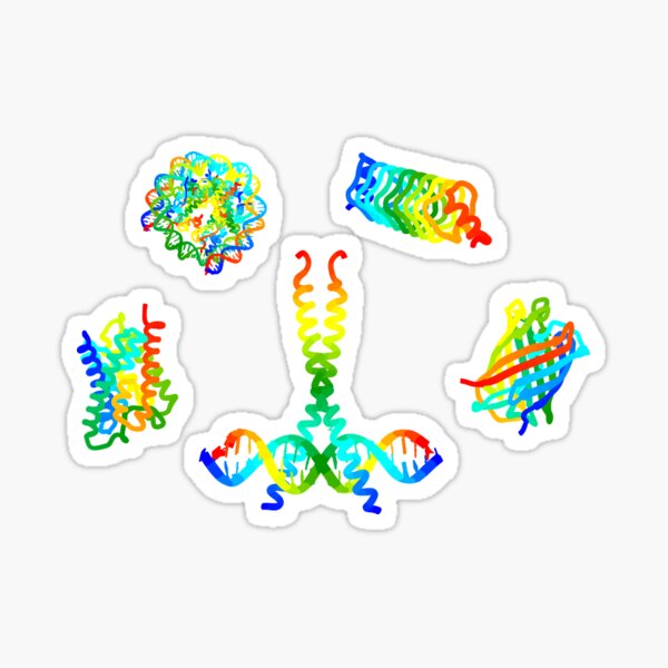 "Proteins" Sticker for Sale by 3D-Biology | Redbubble