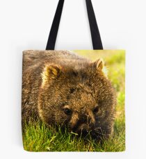 Wombat: Gifts & Merchandise | Redbubble