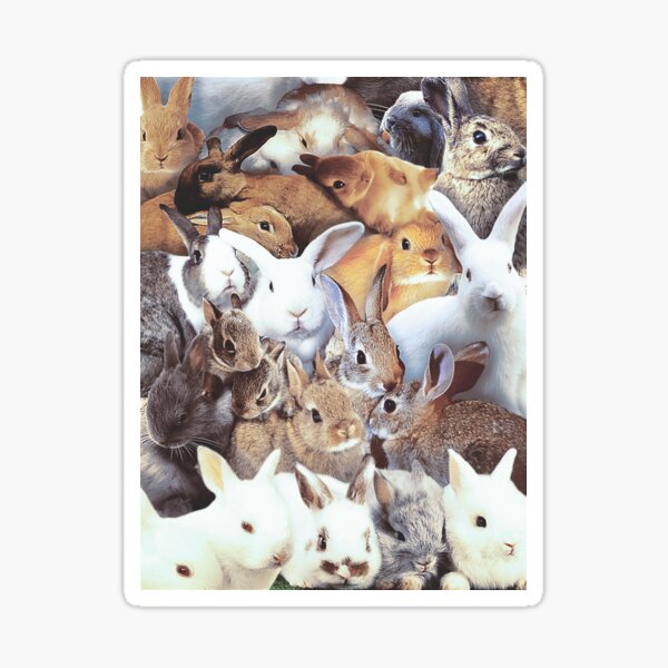 "Rabbits" Sticker for Sale by MaxencePierrard | Redbubble
