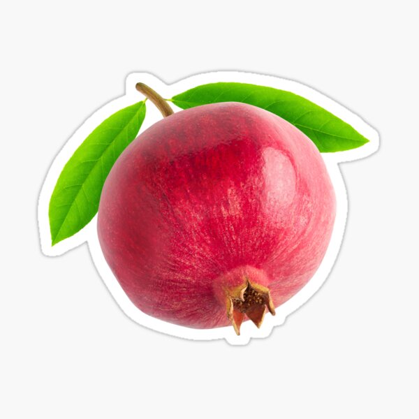 "Pomegranate" Sticker for Sale by 6hands | Redbubble