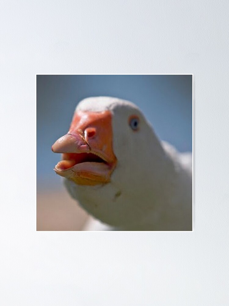 "Dolan Dark" Poster by Vaw01 | Redbubble