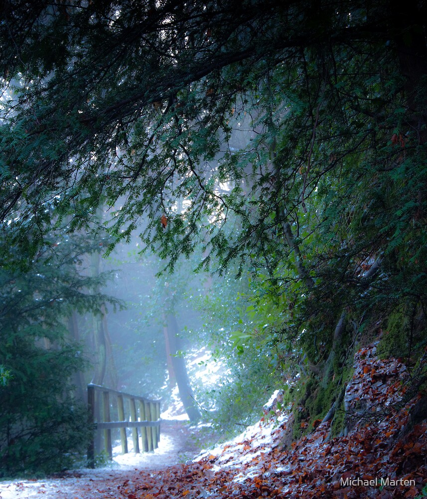 "Mystical pathway, Dalkeith Country Park, Scotland" by Michael Marten ...