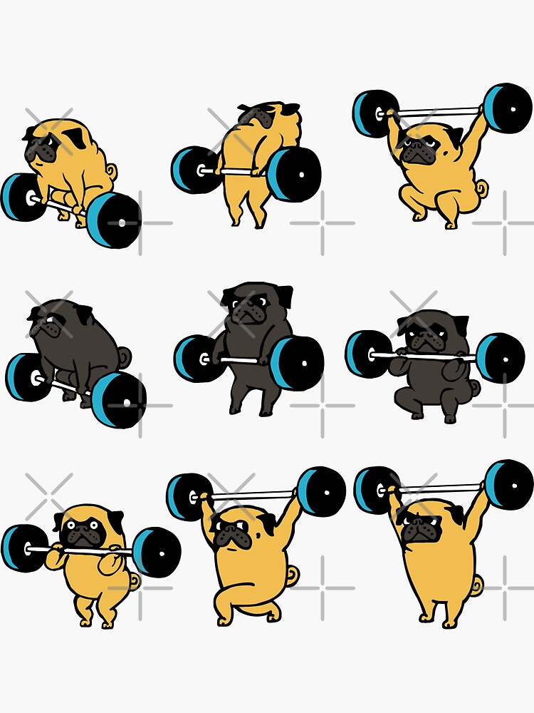 "OLYMPIC LIFTING PUGS" Sticker for Sale by Huebucket | Redbubble