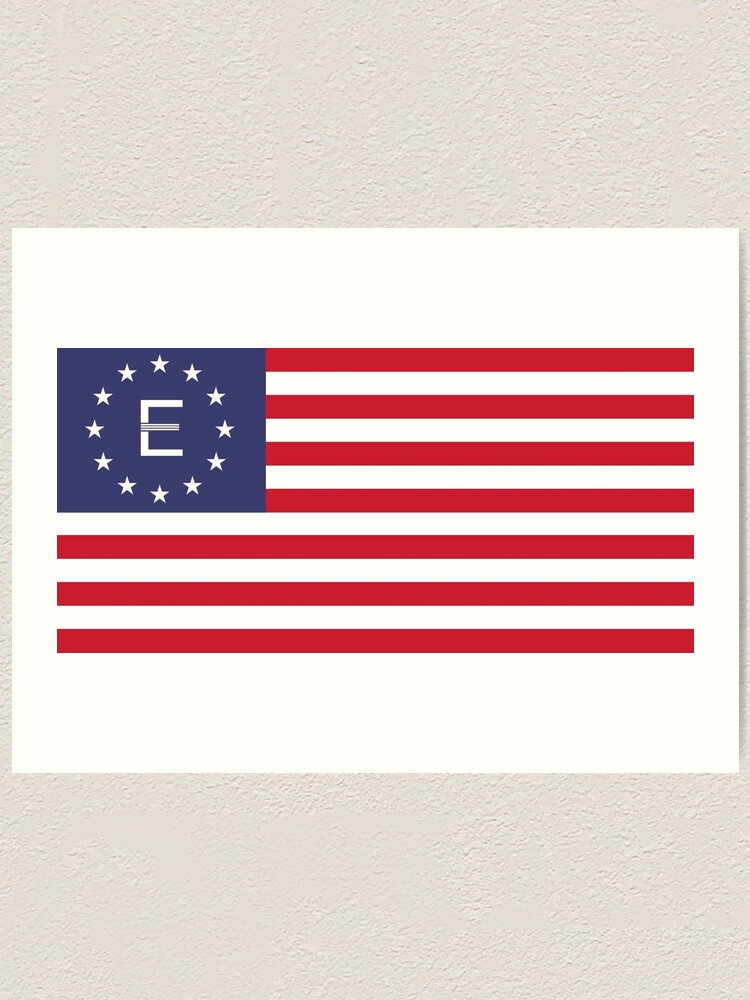 "Fallout 76 Enclave Flag" Art Print by Spider-Mayne | Redbubble