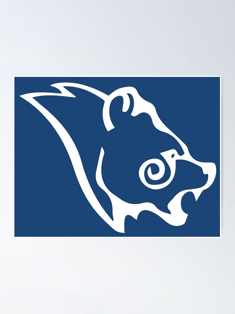 "Skyrim Stormcloak Flag Logo" Poster by Spider-Mayne | Redbubble