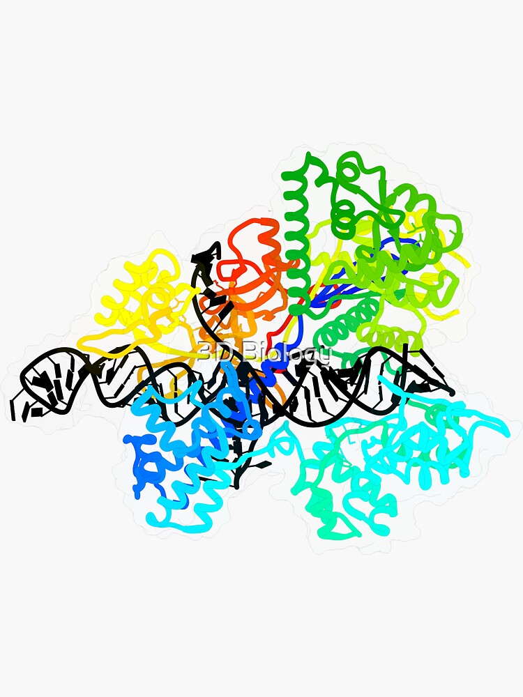 "CRISPR Cas9" Sticker by 3D-Biology | Redbubble