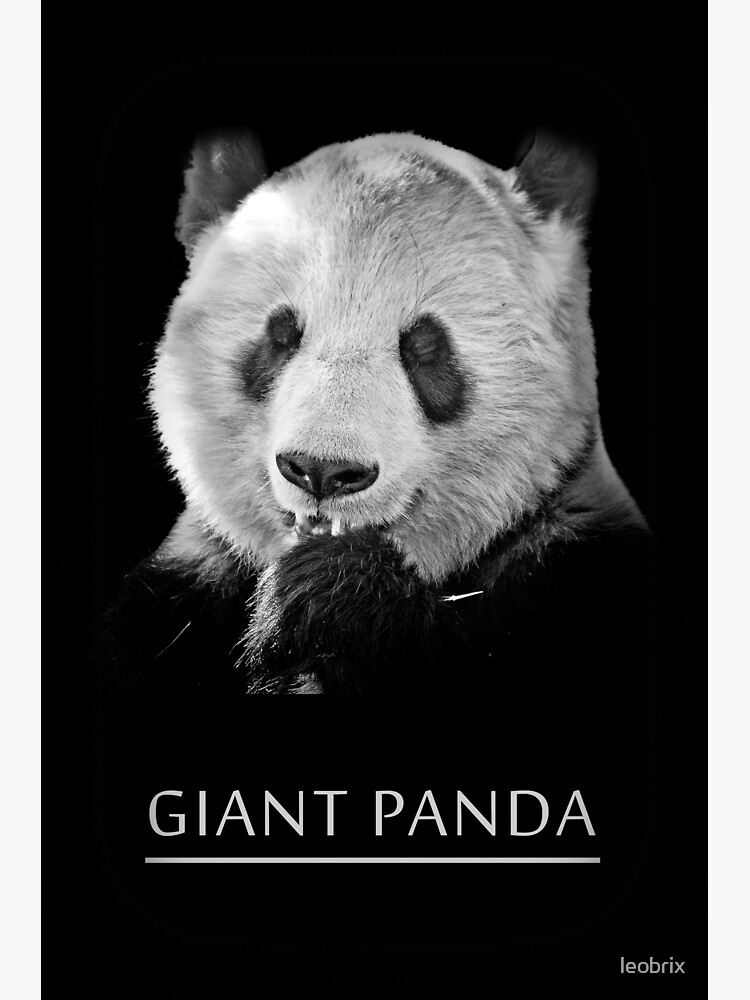 "Giant Panda" Sticker by leobrix | Redbubble