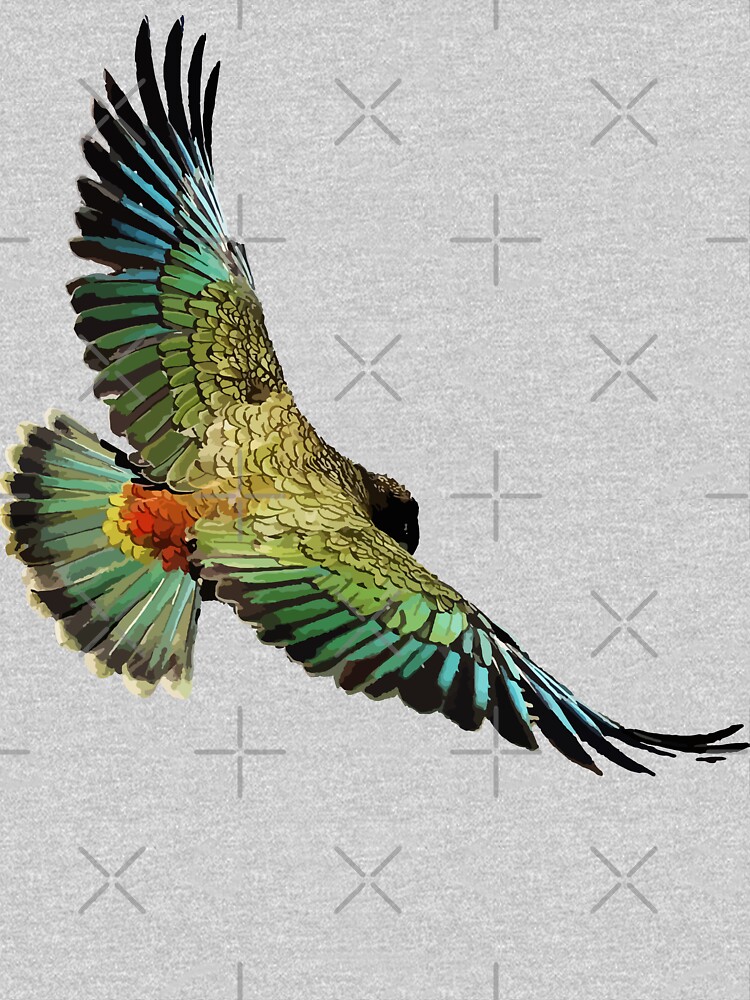 "New Zealand Kea" T-shirt for Sale by BeThreeDesigns | Redbubble | bird ...