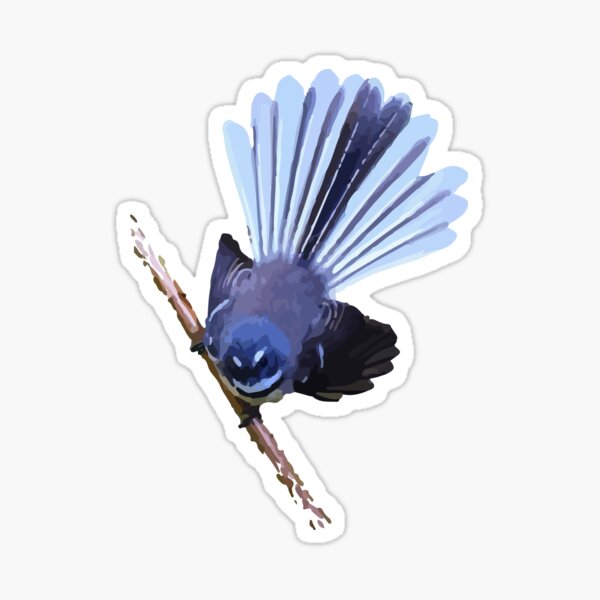 "New Zealand Fantail" Sticker for Sale by BeThreeDesigns | Redbubble