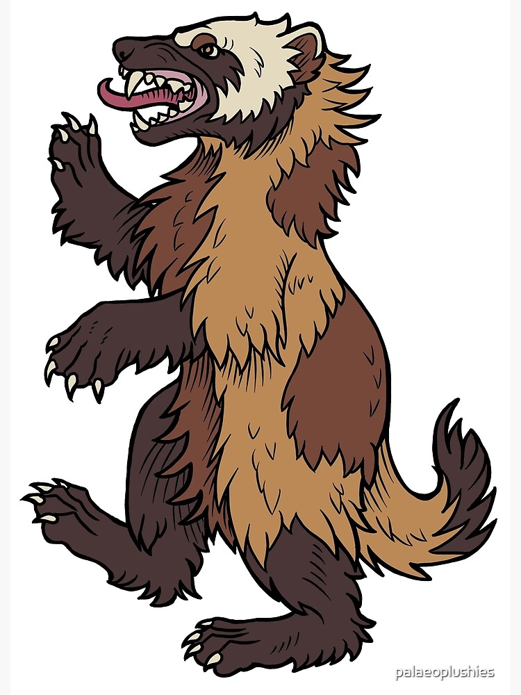 "Gulo gulo - Wolverine" Art Print for Sale by palaeoplushies | Redbubble