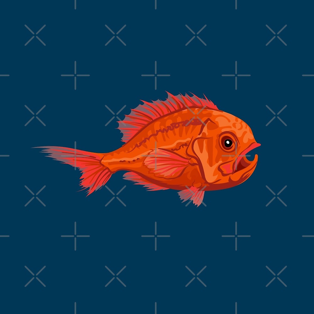 "Fish: Orange Roughy" by PepomintNarwhal | Redbubble