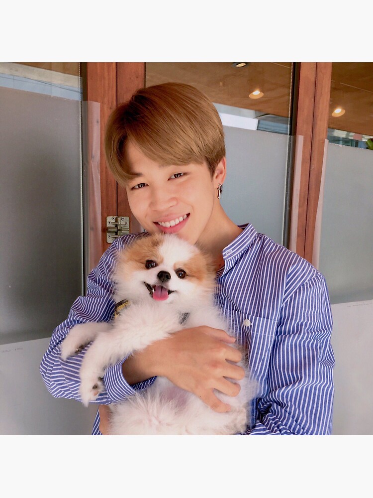 "BTS JIMIN WITH CUTE DOG" Sticker for Sale by kikimini | Redbubble