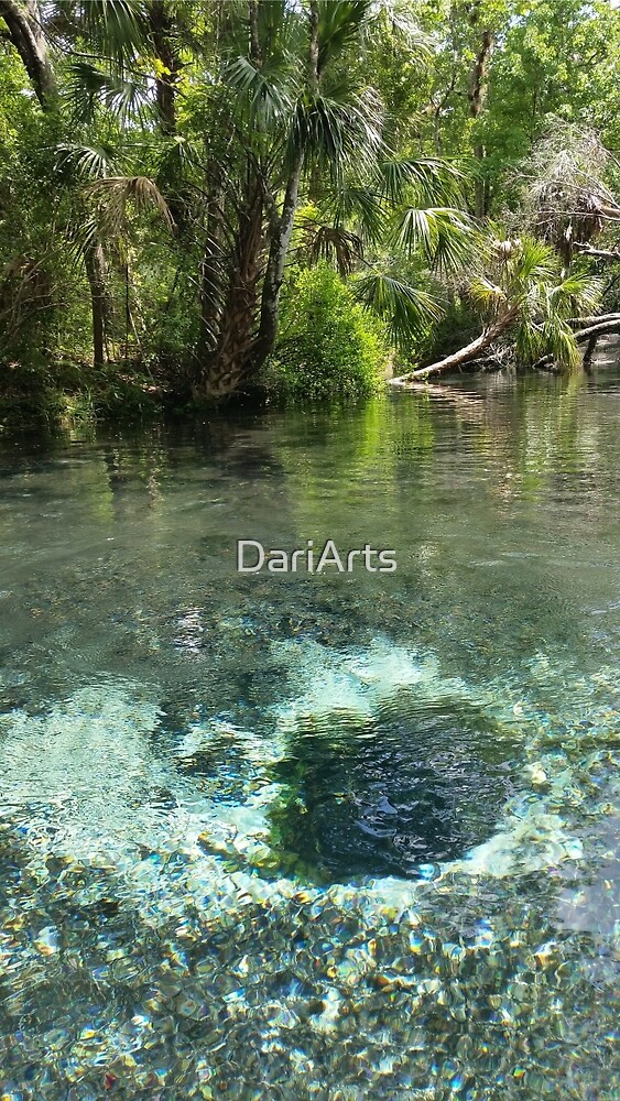 "Seven Sisters Florida freshwater springs" by DariArts | Redbubble