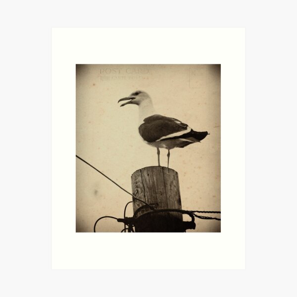 Butlins Merch & Gifts for Sale | Redbubble