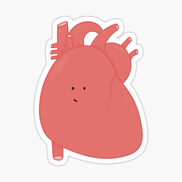 "Cute Heart Organ" Sticker for Sale by ameliamounts | Redbubble
