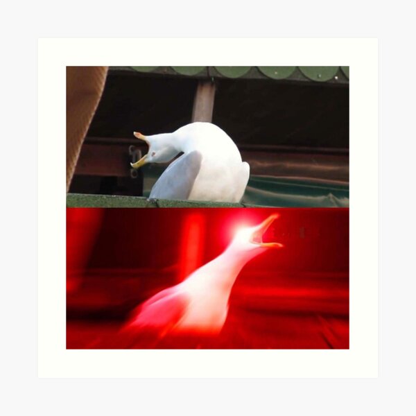 "Inhaling Seagull Meme" Art Print for Sale by FlashmanBiscuit | Redbubble
