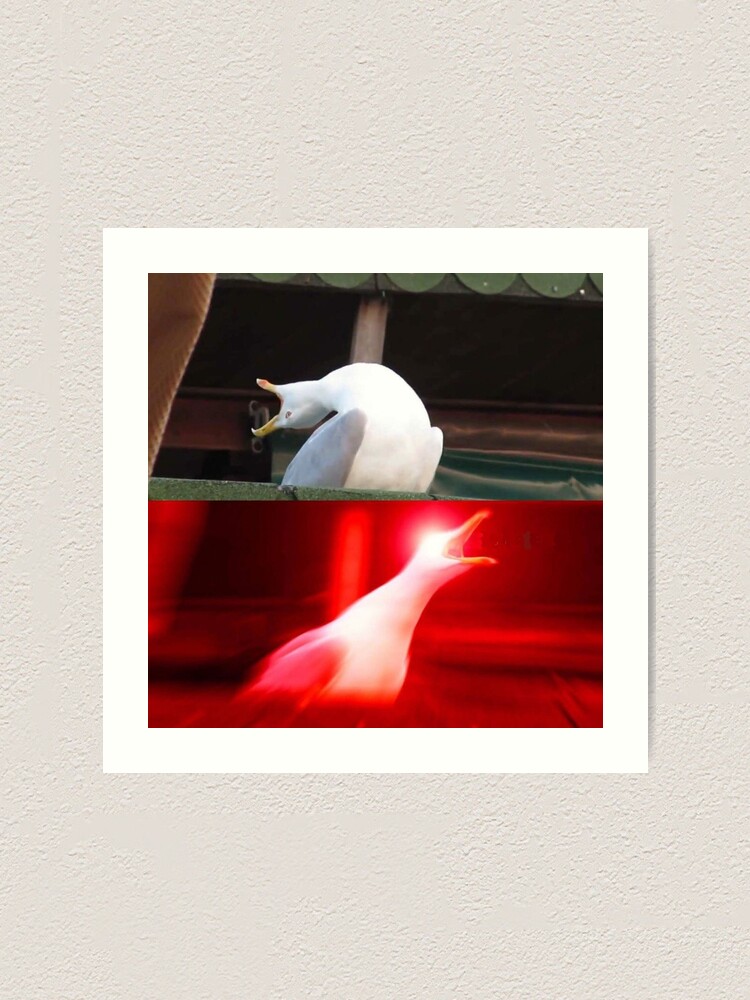 "Inhaling Seagull Meme" Art Print for Sale by FlashmanBiscuit | Redbubble