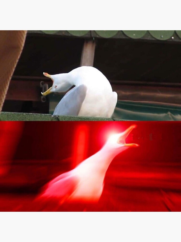  Inhaling Seagull Meme Poster For Sale By FlashmanBiscuit Redbubble