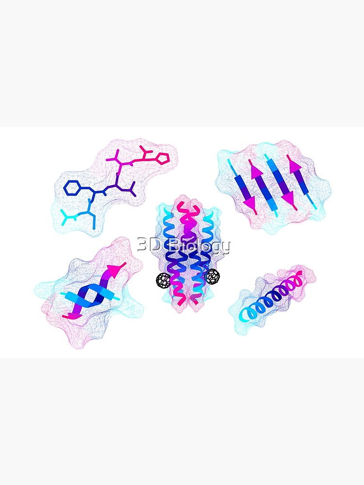"Peptides" Poster for Sale by 3D-Biology | Redbubble