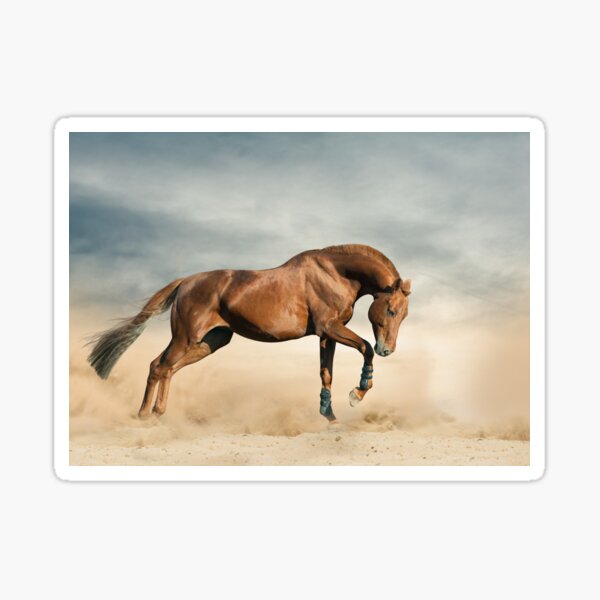 "Chestnut horse on a wild" Sticker by marusya1 | Redbubble