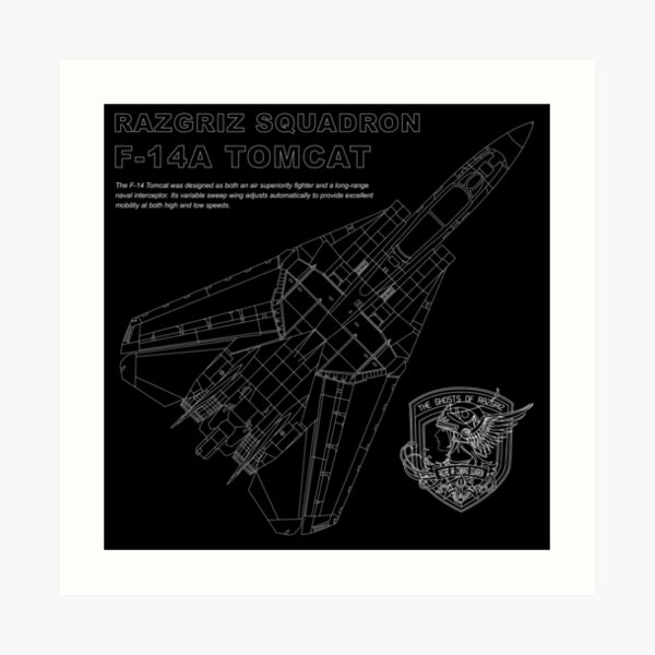 Ace Combat Razgriz F 14a Tomcat Art Print For Sale By Fareast Redbubble