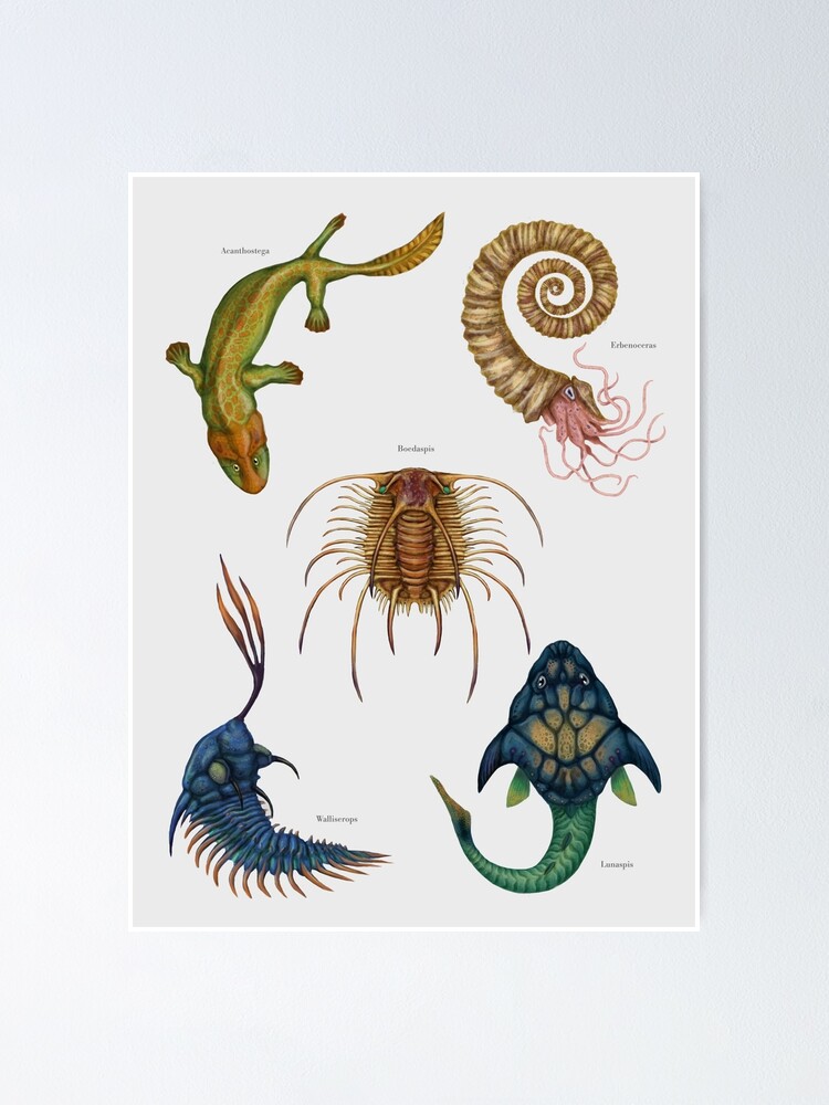 "Devonian Creatures. paleoart." Poster by mariolanzas | Redbubble