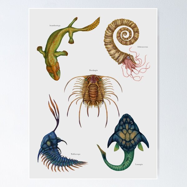 "Devonian Creatures. paleoart." Poster for Sale by Mario Lanzas | Redbubble