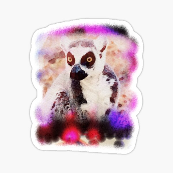 "Katta" Sticker for Sale by lixTec | Redbubble