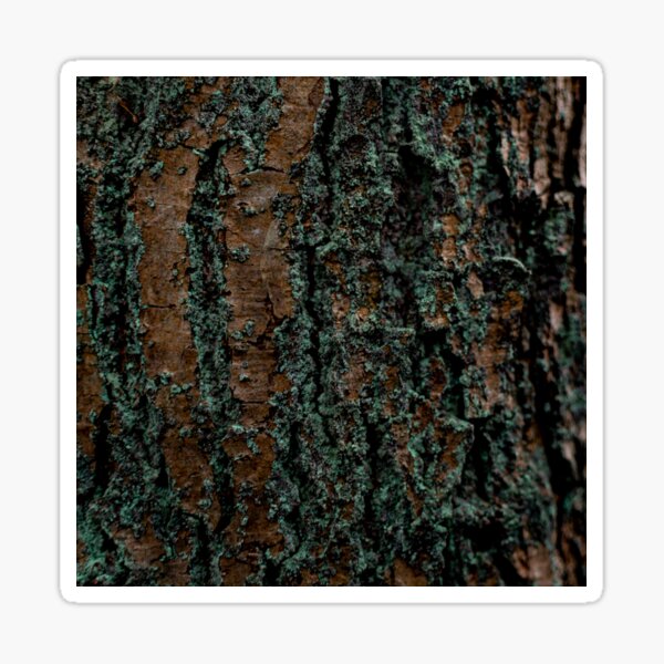 "Bark 12" Sticker for Sale by arc1 | Redbubble
