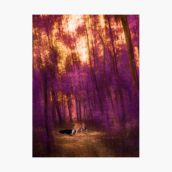 311 Wall Art | Redbubble