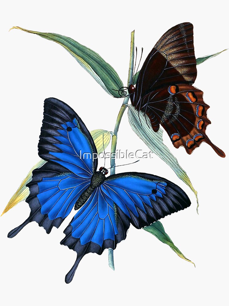 "Vintage blue butterflies" Sticker for Sale by ImpossibleCat | Redbubble