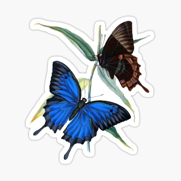 "Vintage blue butterflies" Sticker for Sale by ImpossibleCat | Redbubble