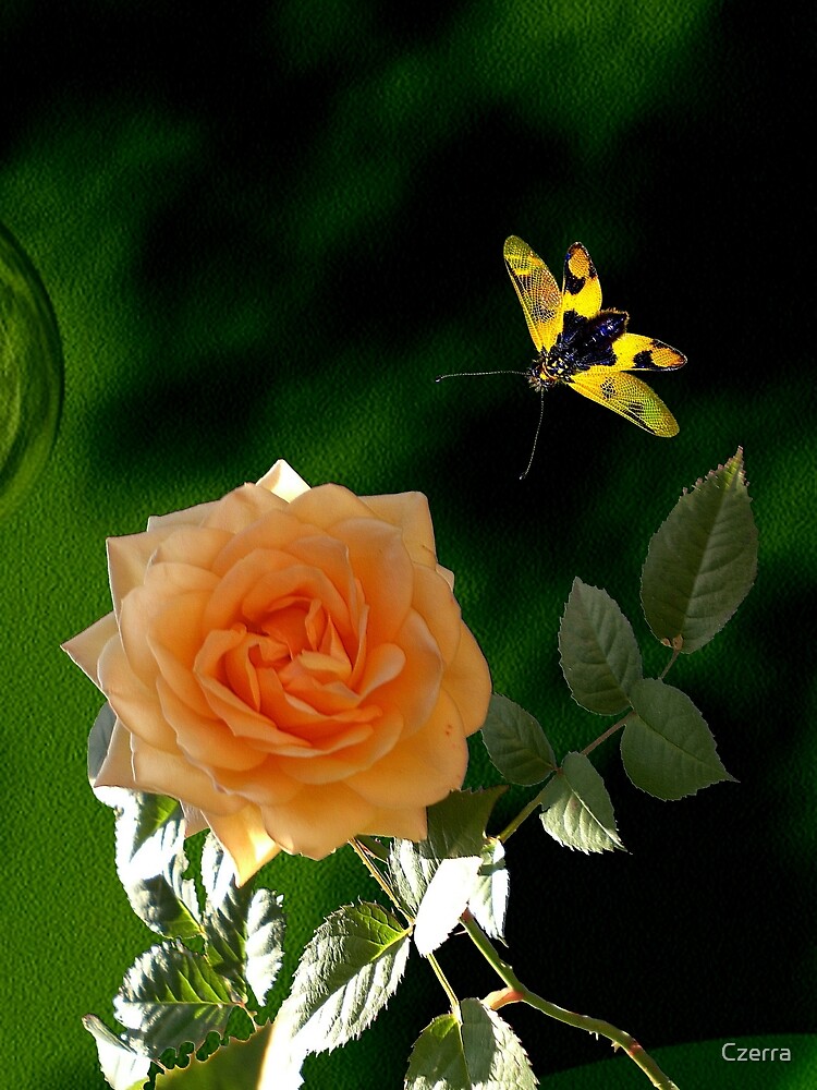 "Fahra Miniature Rose Orange" T-shirt for Sale by Czerra | Redbubble ...