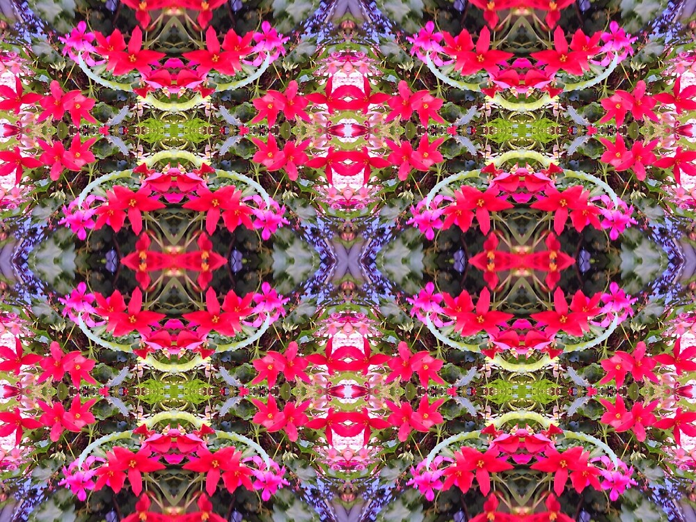 "Red Flower Photo Collage" by Julia Woodman | Redbubble