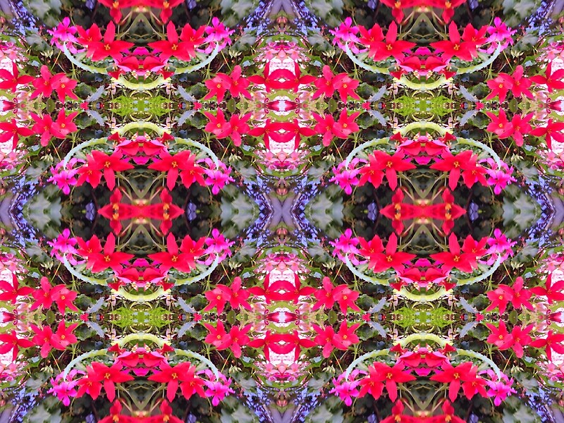 "Red Flower Photo Collage" by Julia Woodman | Redbubble