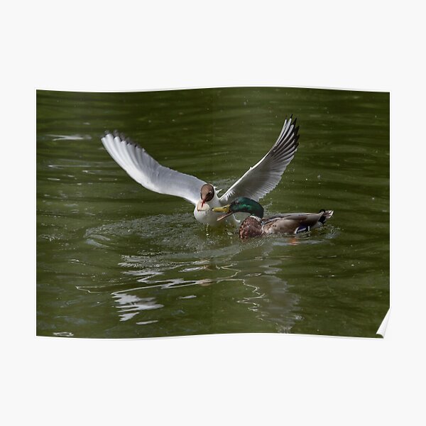 "Mugged!" Poster by DonMc | Redbubble