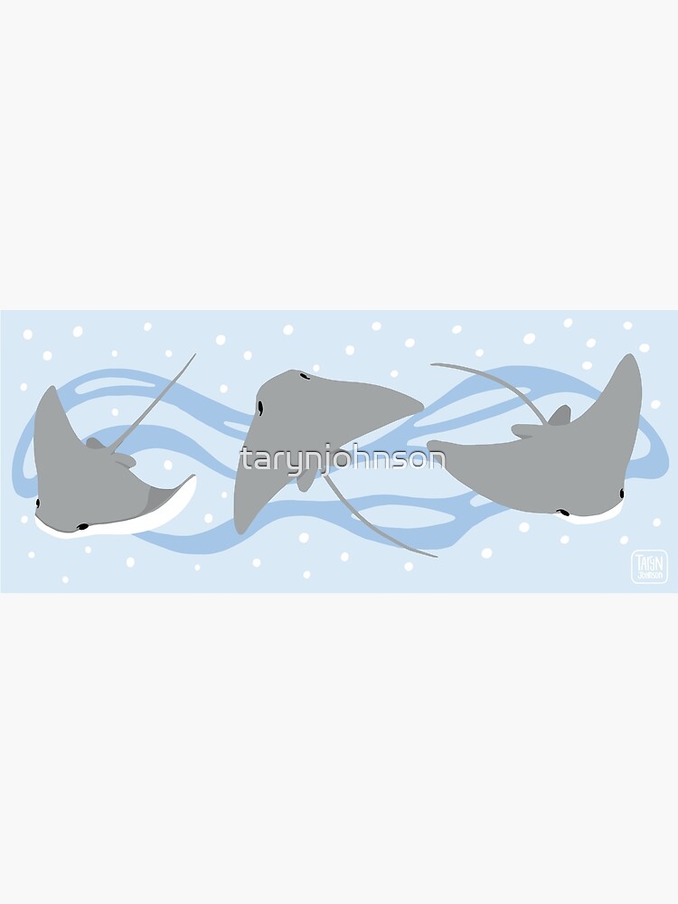 "Stingrays - Cownose Ray - Sticker Pack" Photographic Print by ...