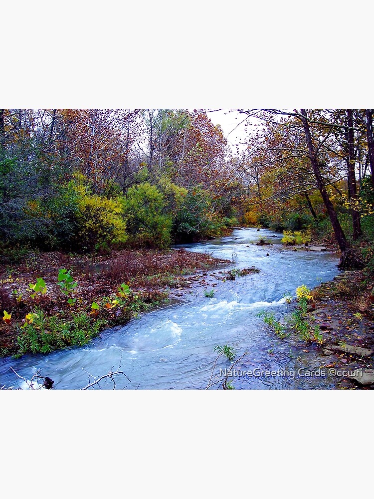 "Arkansas Ozark Mountain Stream" Poster by ccwri | Redbubble