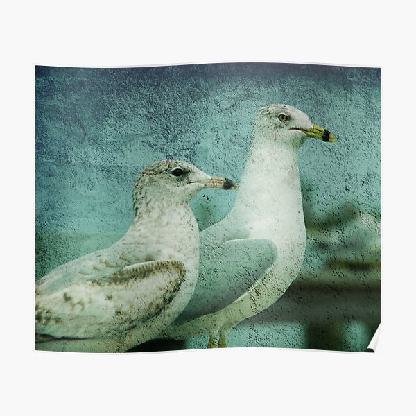 "The Two Guys" Poster by susanne49 | Redbubble