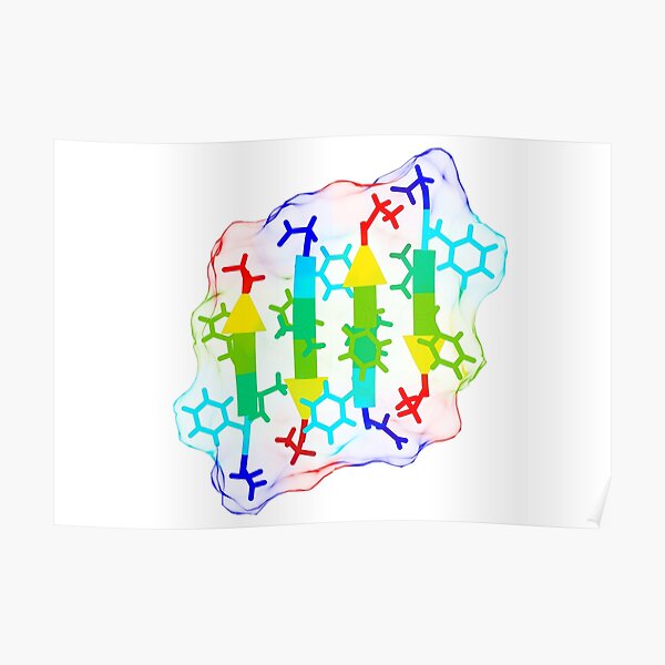 "Antiparallel Peptide" Poster for Sale by 3D-Biology | Redbubble