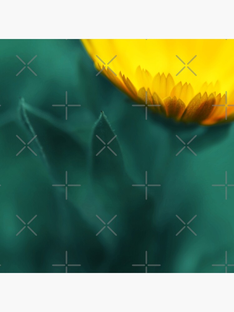 "Yellow Calendula Lamp. Botanical Macro Abstract Wall Art" Poster by ...