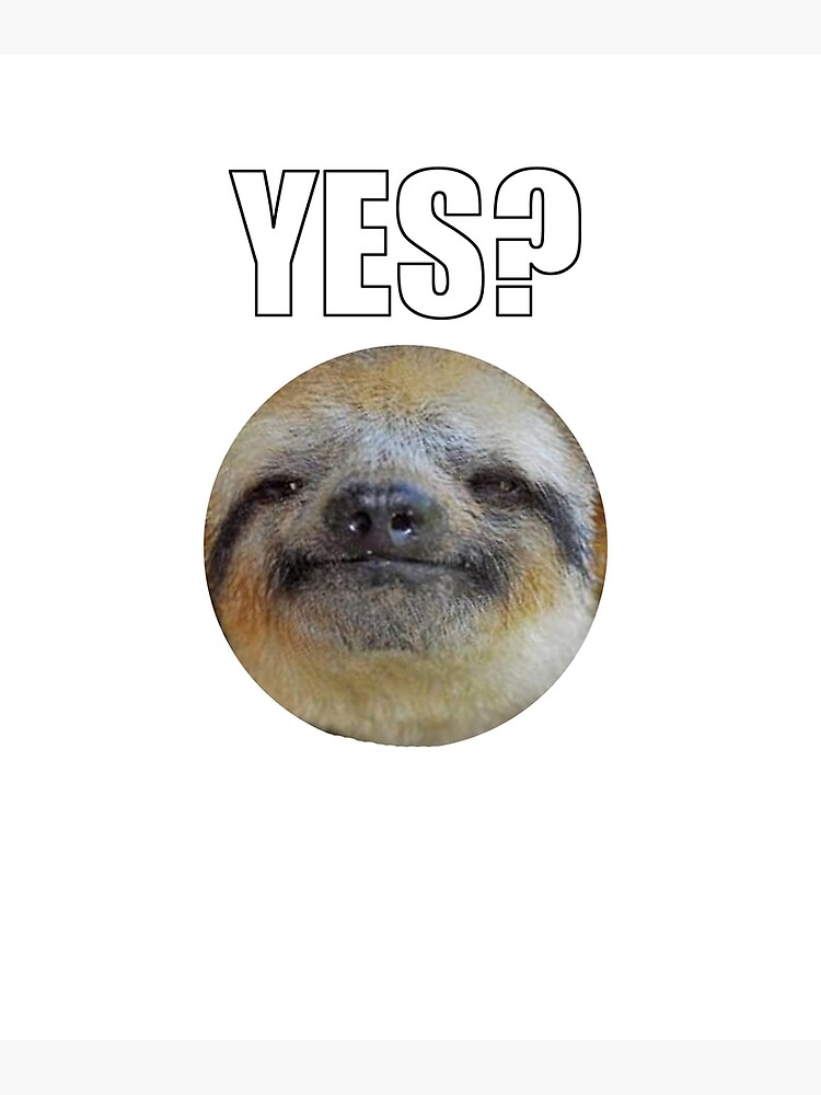 "Lazy Funny Sloth - Yes" Poster by ericsj11 | Redbubble