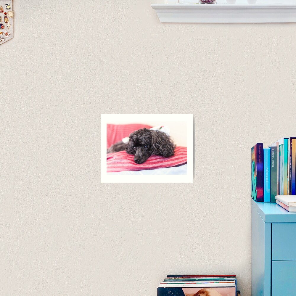 "this is comfy" Art Print for Sale by KensLensDesigns | Redbubble