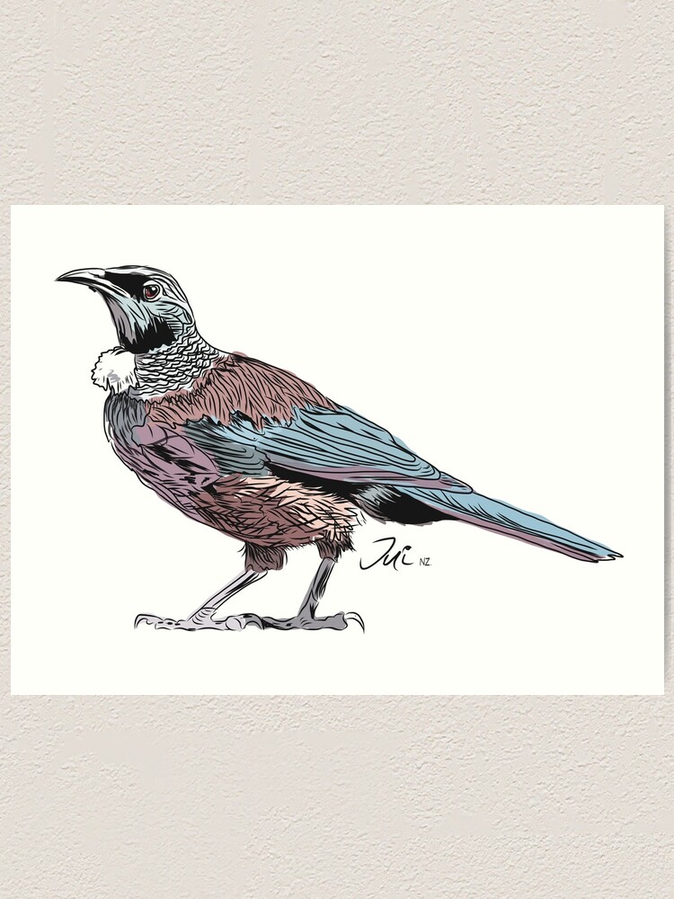 "New Zealand Tui" Art Print by Kiwidom | Redbubble