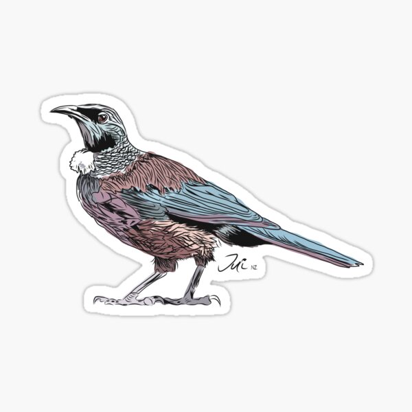 "New Zealand Tui" Sticker by Kiwidom | Redbubble