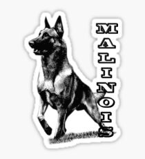 Belgian Malinois Stickers | Redbubble
