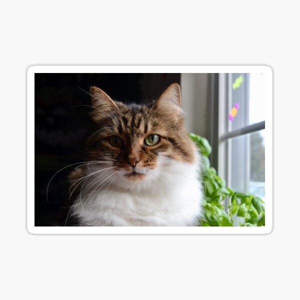 jstxrm Shop | Redbubble