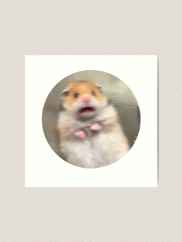 "SCARED HAMSTER STICKER" Art Print by pizzaisdope | Redbubble