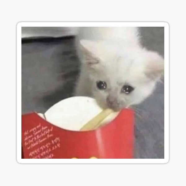 "Sad Cat Eating French Fries" Sticker for Sale by Tunç Eren | Redbubble